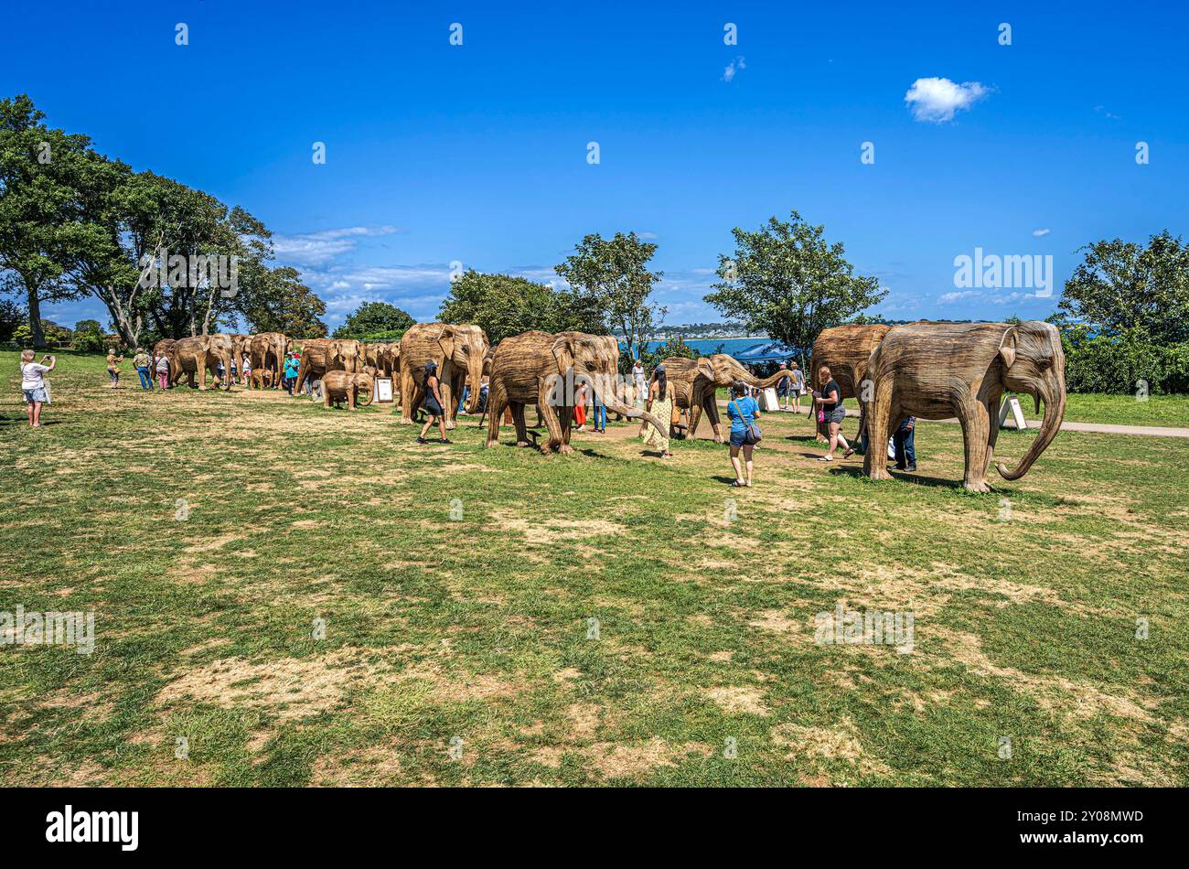 The Great Elephant Migration Stock Photo - Alamy
