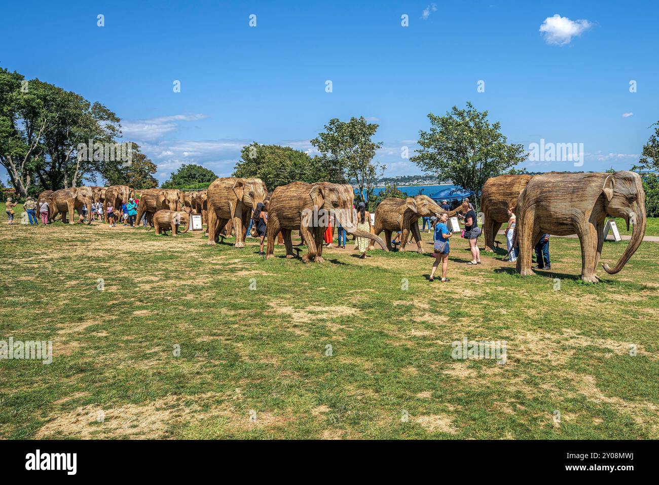 The Great Elephant Migration Stock Photo - Alamy