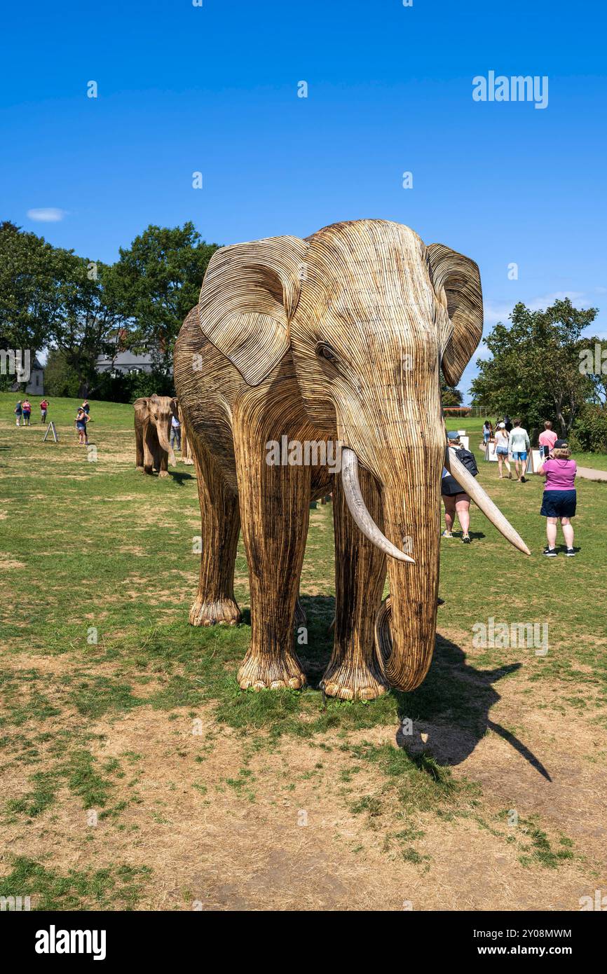 The Great Elephant Migration Stock Photo - Alamy