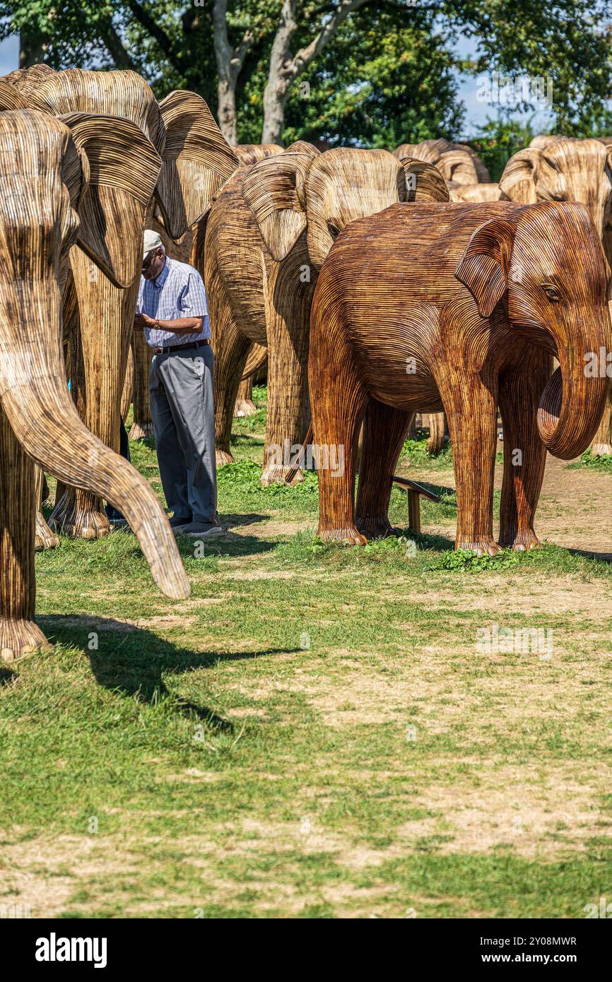 The Great Elephant Migration Stock Photo - Alamy