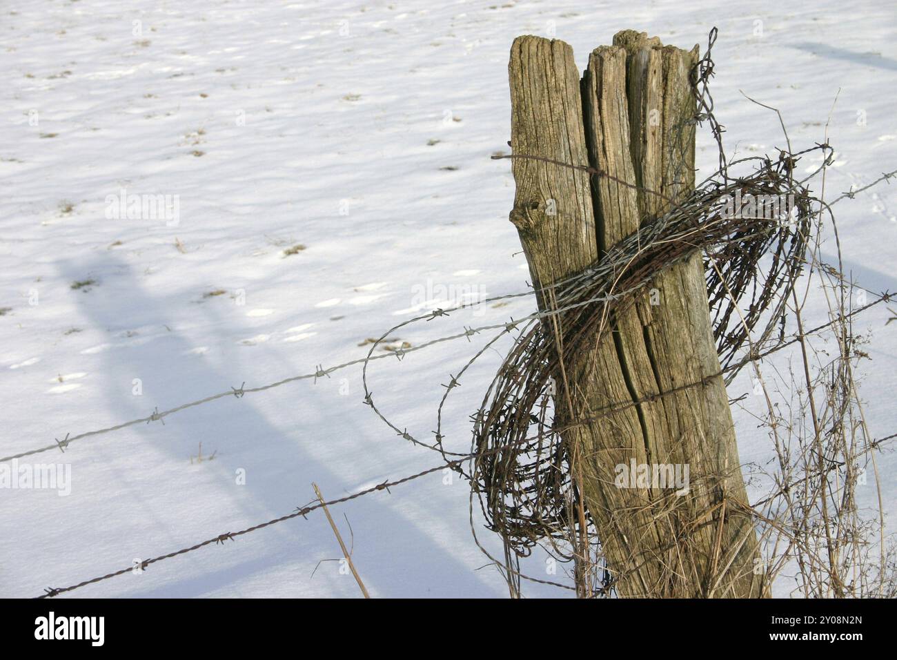 Fence post with barbed wire roll Stock Photo - Alamy