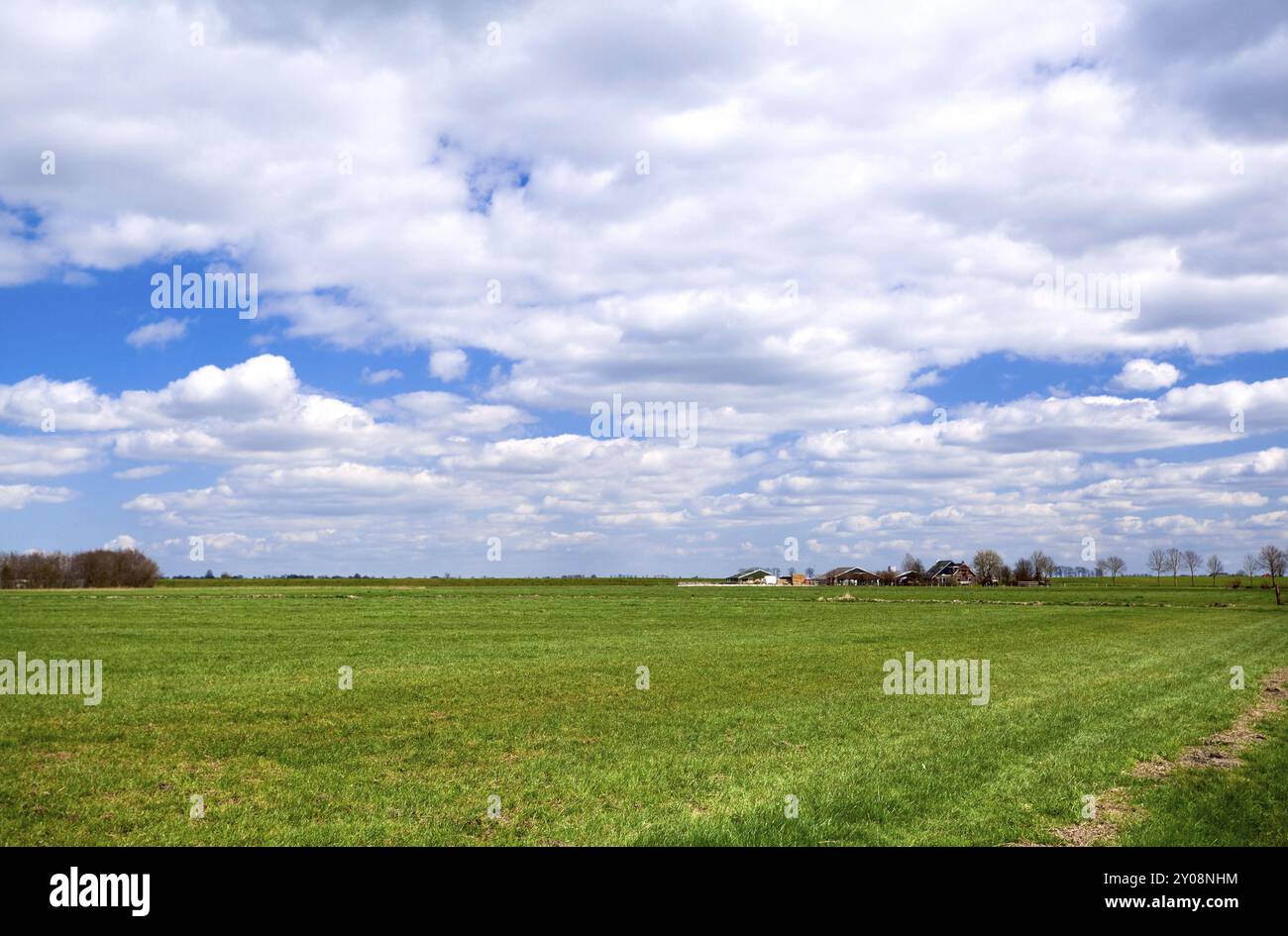 Beautiful Dutch plain landscape with farm house and blue sky and white ...