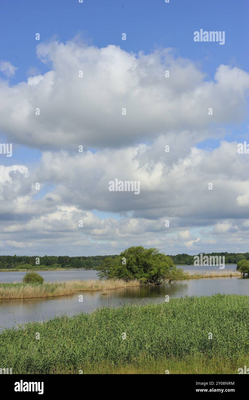 Upper lusatia heath and pond landscape hi-res stock photography and ...