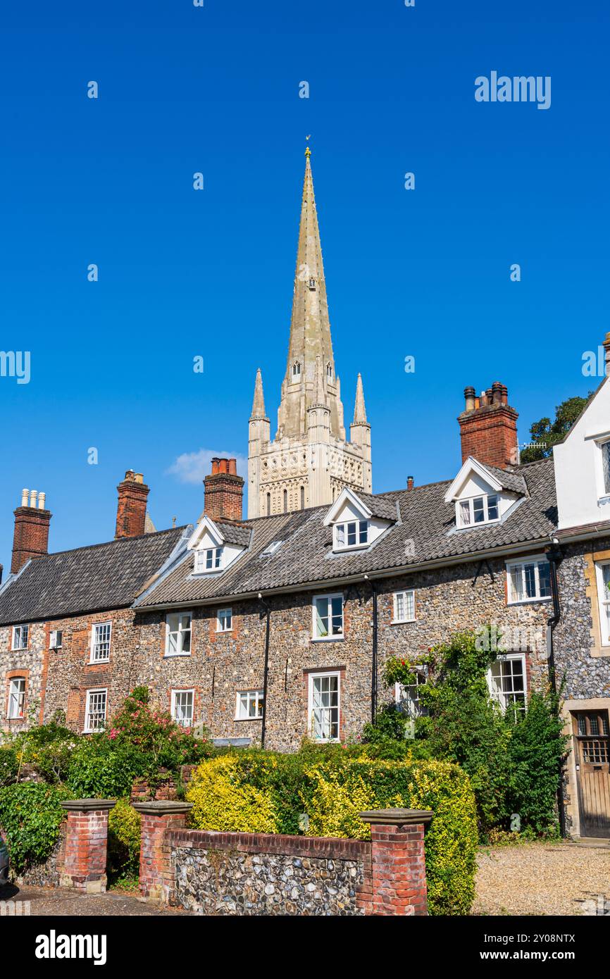 View of Norwich Cathedral behind traditional Norfolk Flint built houses ...