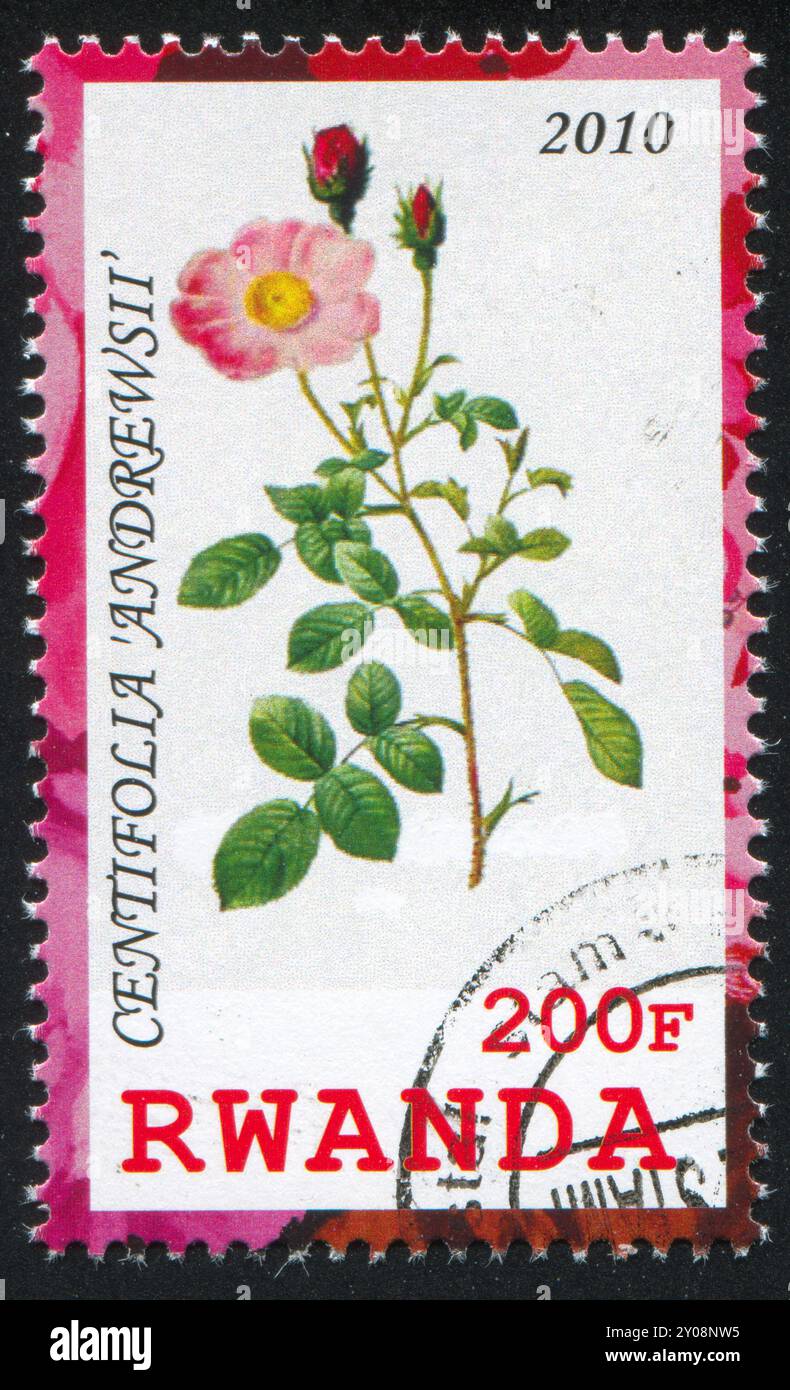 RWANDA - CIRCA 2010: stamp printed by Rwanda, shows rose, circa 2010 ...