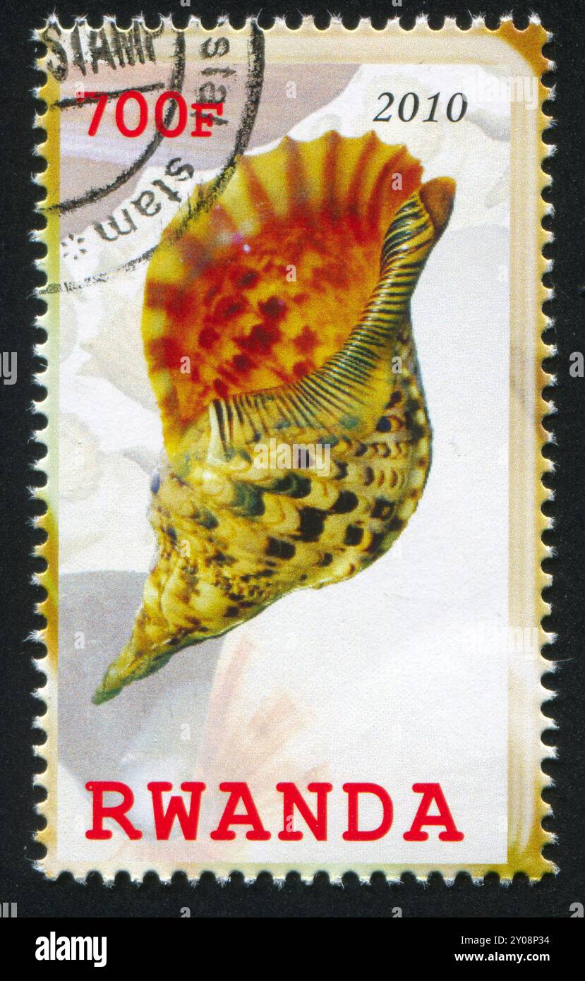 RWANDA - CIRCA 2010: stamp printed by Rwanda, shows Shell, circa 2010 ...
