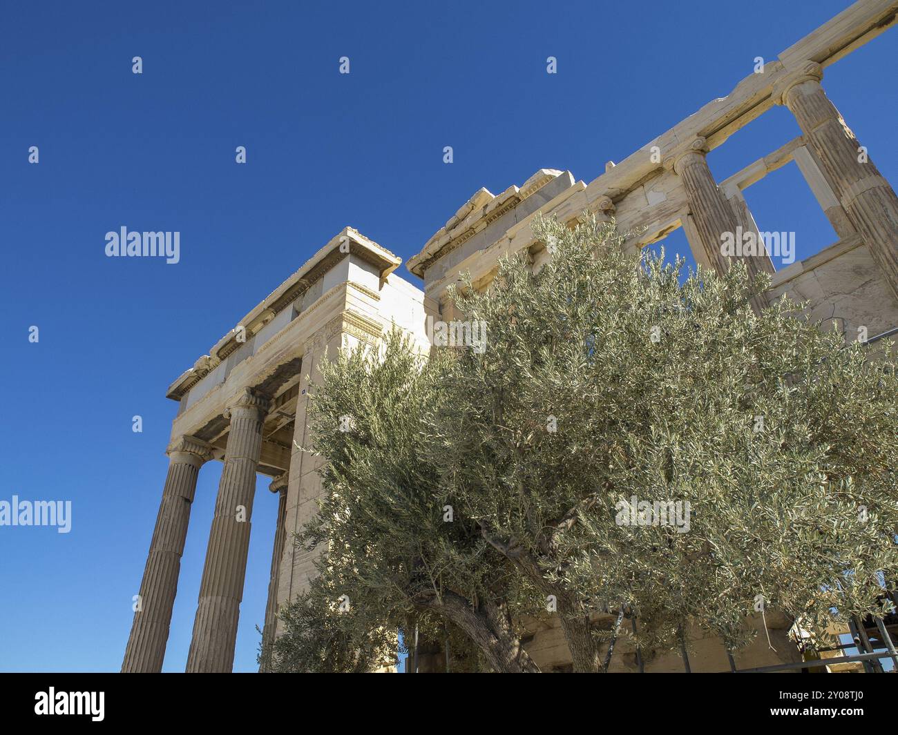Ancient Greek ruins with prominent columns and a tree under a blue sky, athens, greece Stock ...
