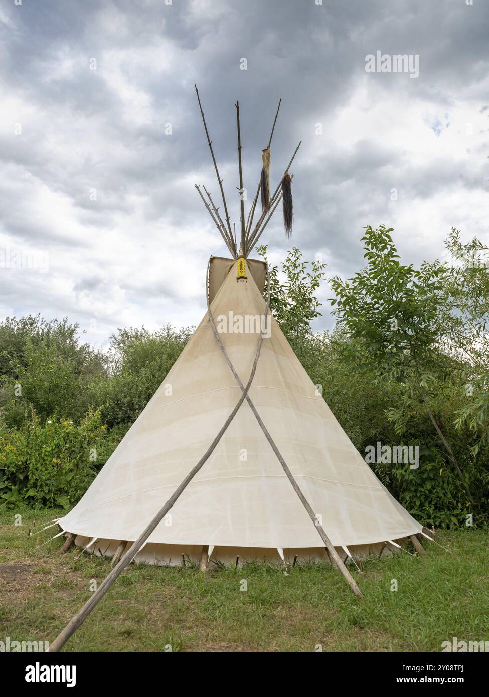 The back of a single Indian tipi stands in a meadow between trees and ...