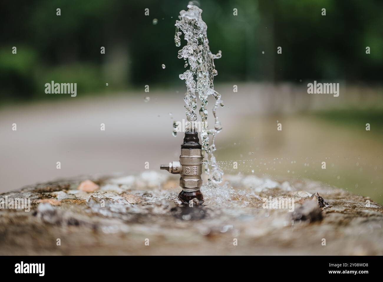 Close-up of a water fountain valve with flowing water outdoors Stock ...