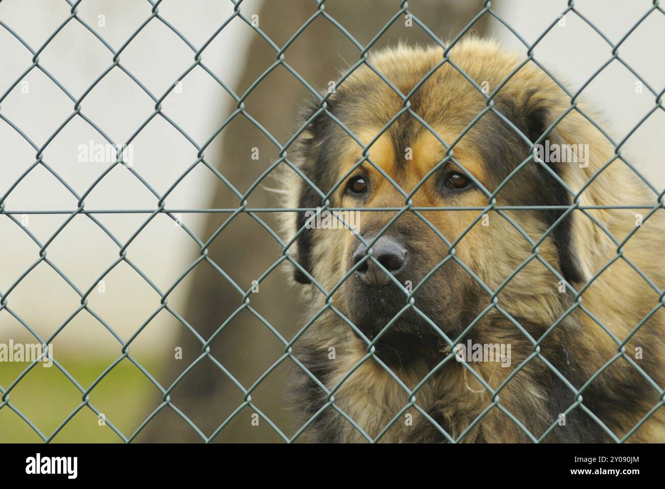 Steering bars hi-res stock photography and images - Alamy