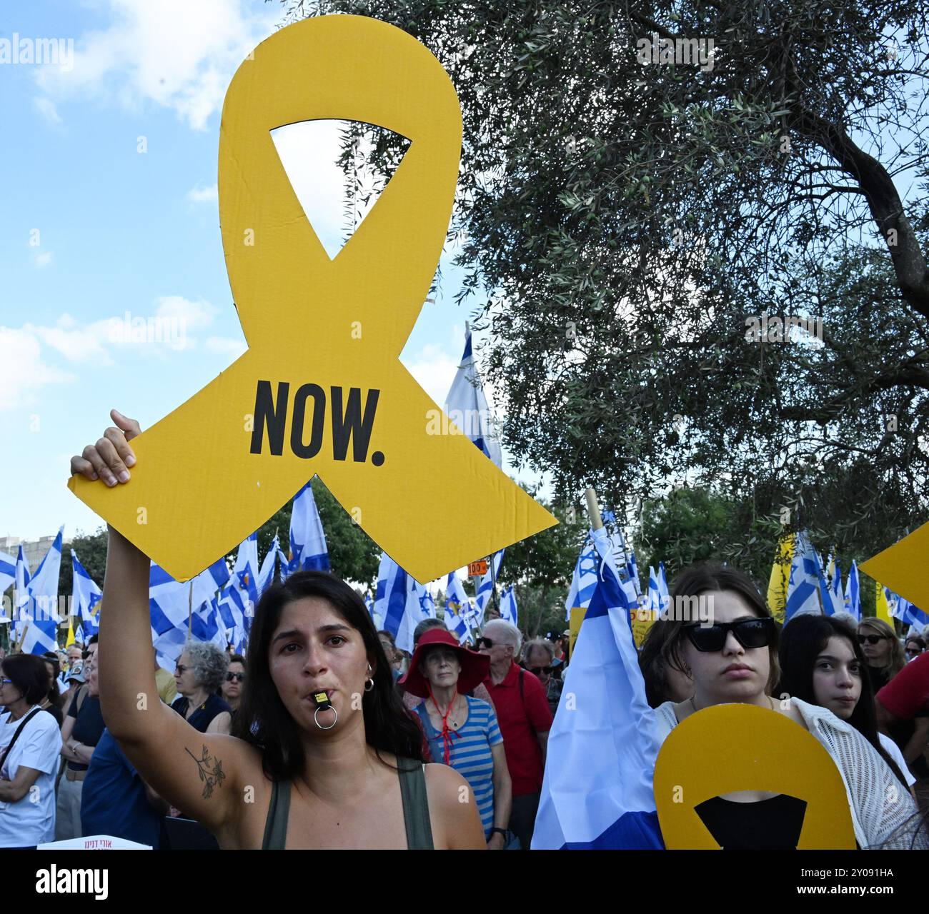 Gat cut out hi-res stock photography and images - Alamy