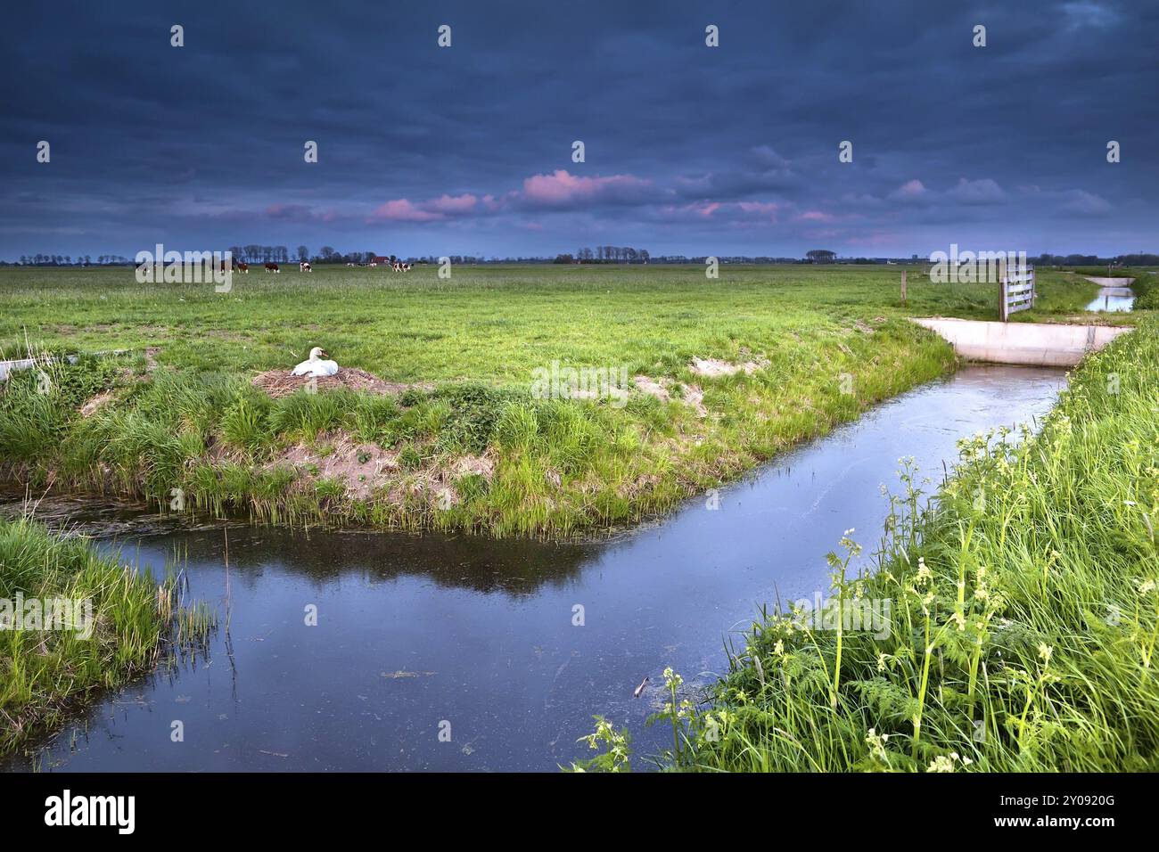 Gracht netherlands groningen hi-res stock photography and images - Alamy