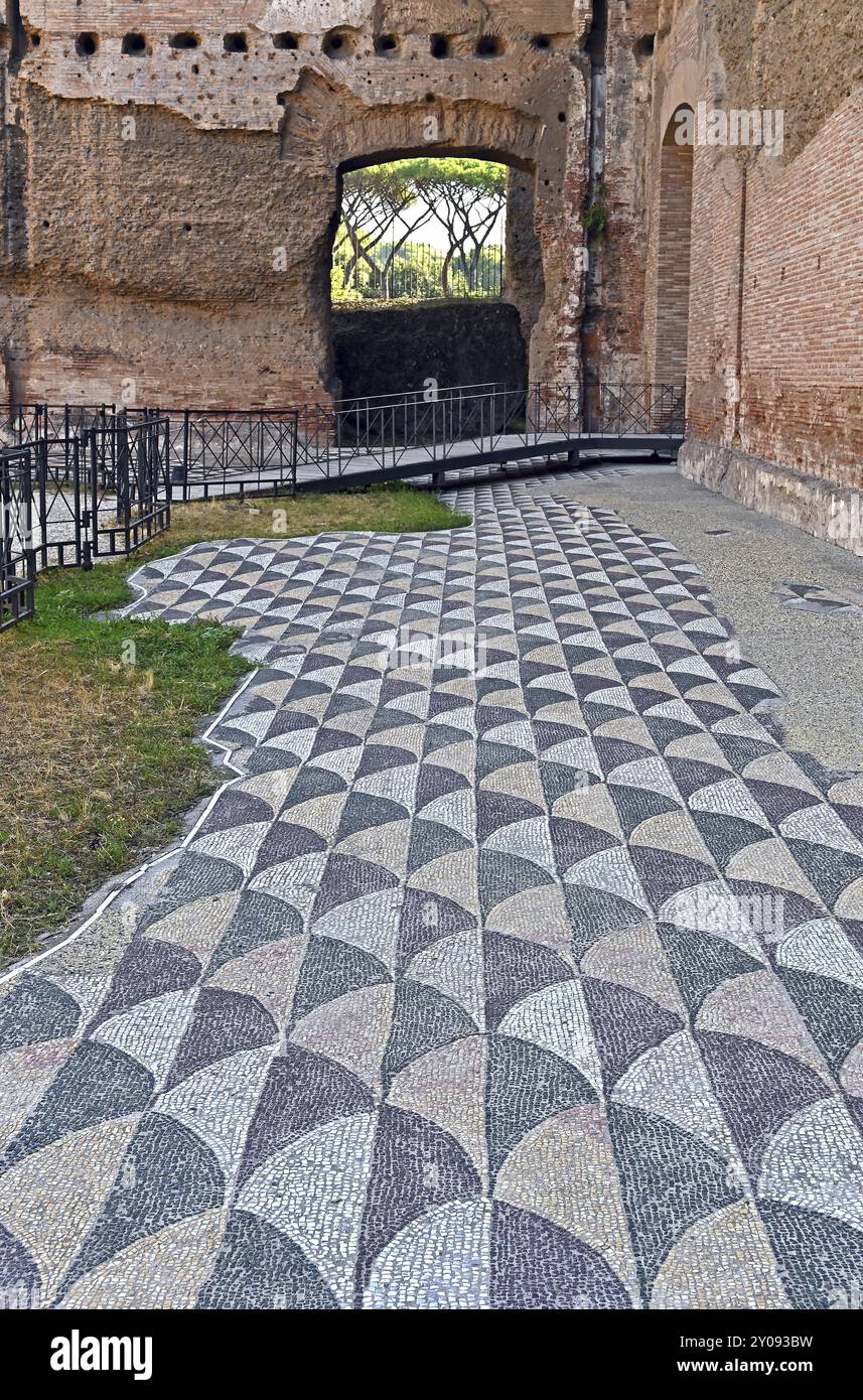 Fragments of the floor mosaic Stock Photo - Alamy