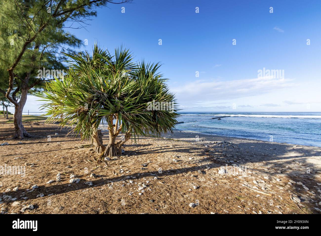 Beach of Saint Pierre at Reunion Island Stock Photo - Alamy