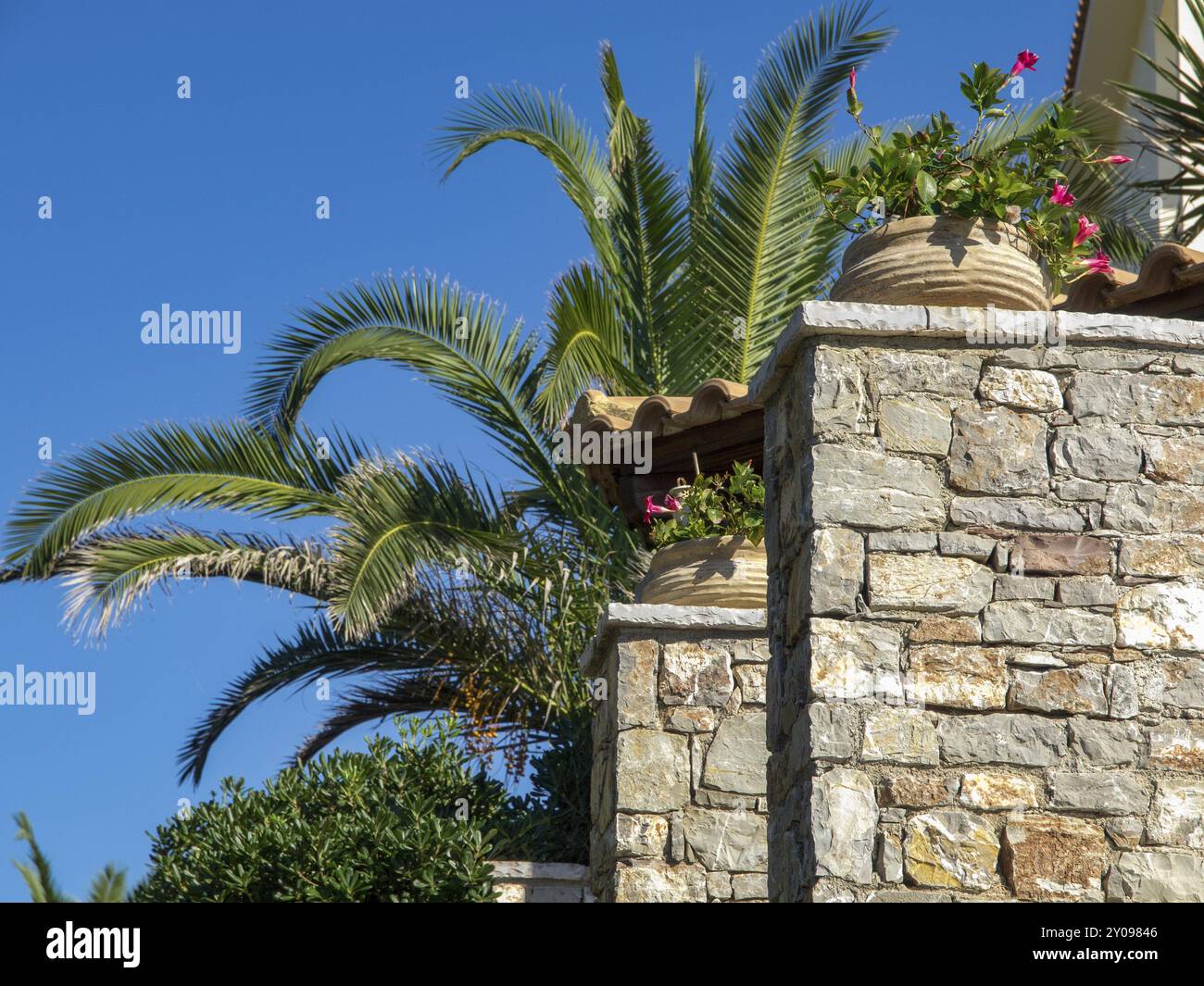 Mediterranean stone wall with palm trees and flowering plants under a ...