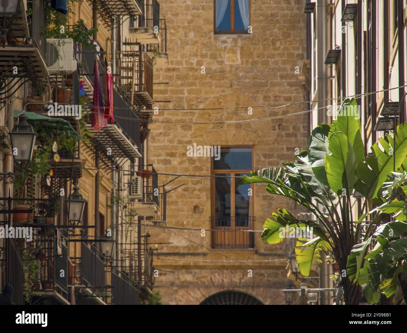 Narrow alley with balconies and plants, windows in Mediterranean ...