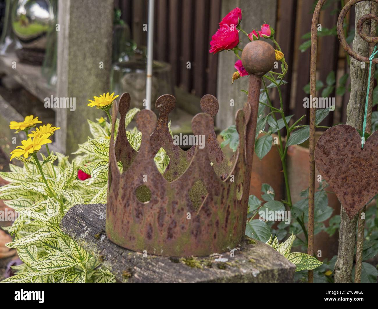 Rust colored crown hi-res stock photography and images - Alamy
