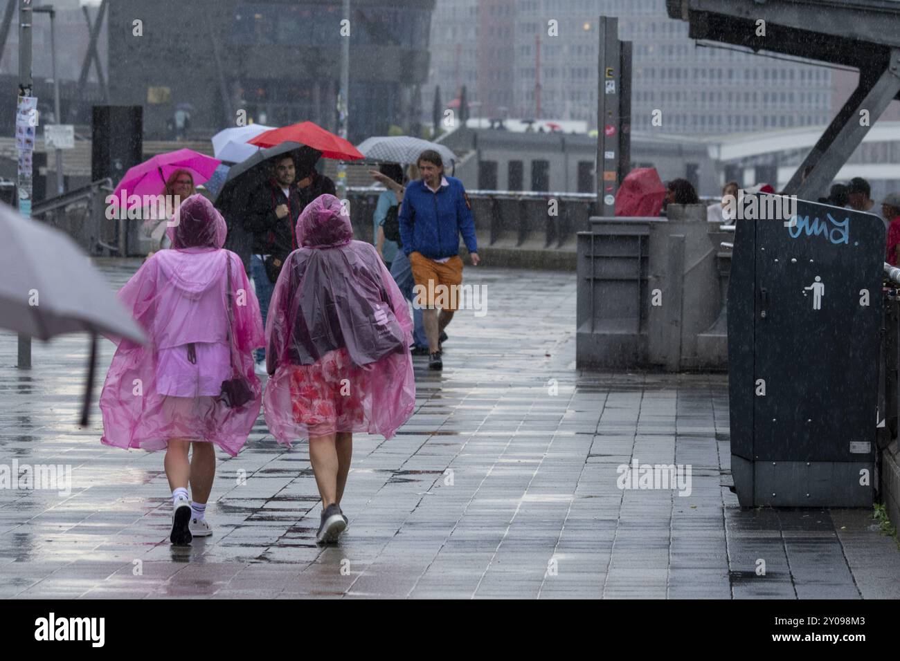Symbolic picture weather, heavy rain in summer, thunderstorm ...