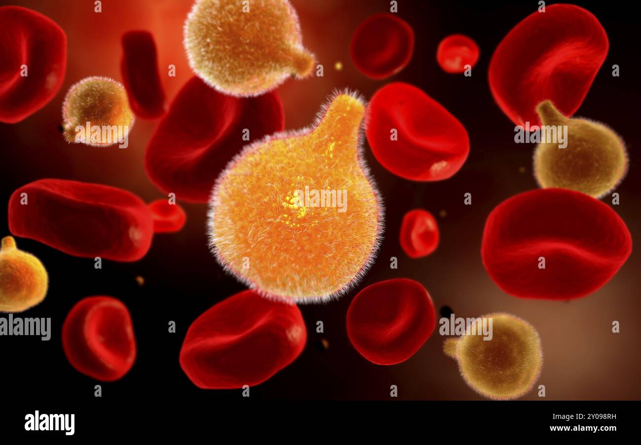 Malaria disease parasite plasmodium hi-res stock photography and images ...