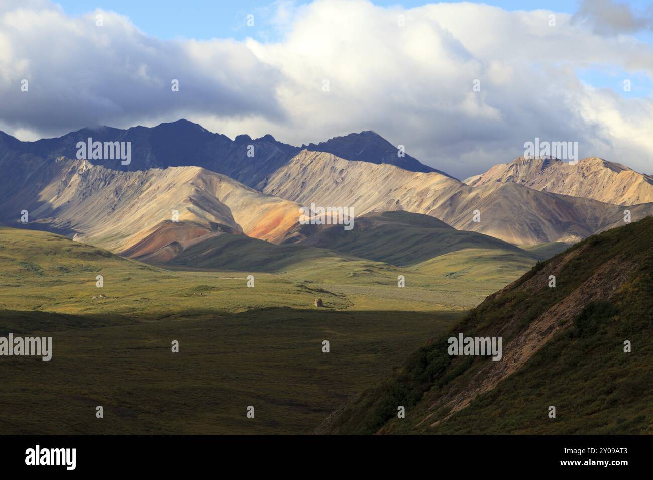 Denali river top view hi-res stock photography and images - Alamy