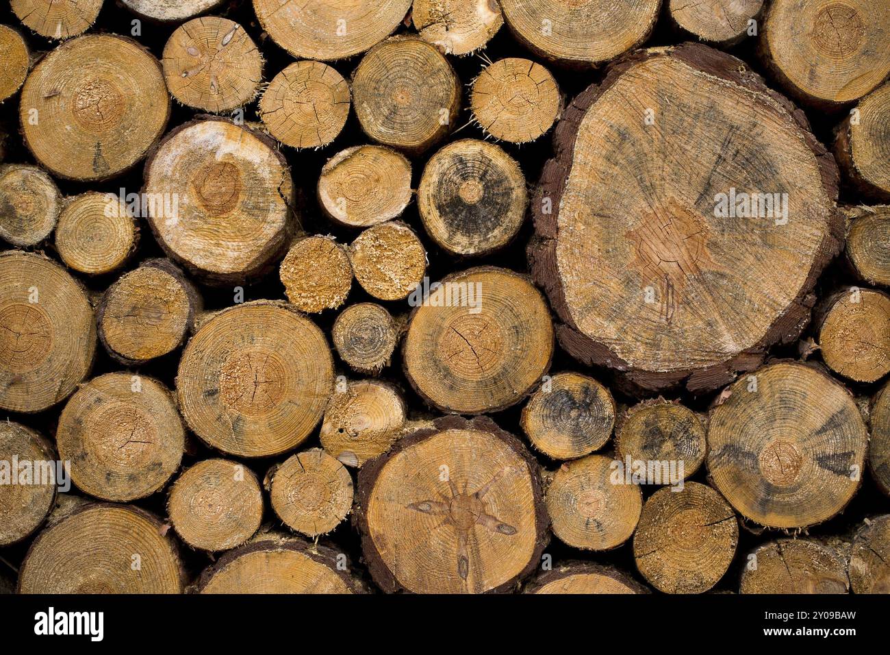 Different sized wooden logs stocked one above the other Stock Photo - Alamy