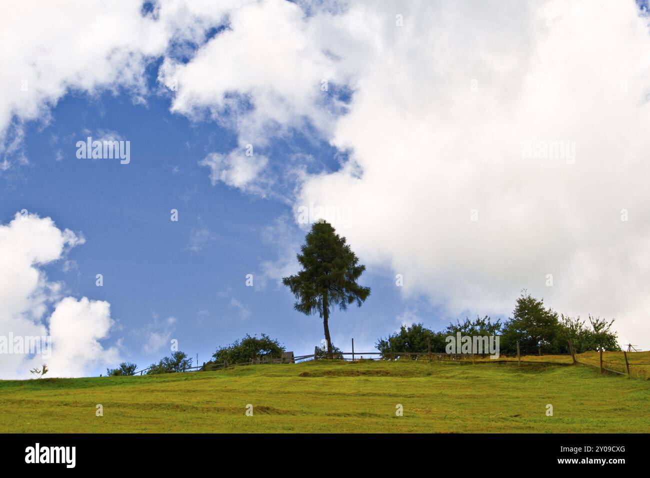 Beautiful summer landscape Stock Photo - Alamy