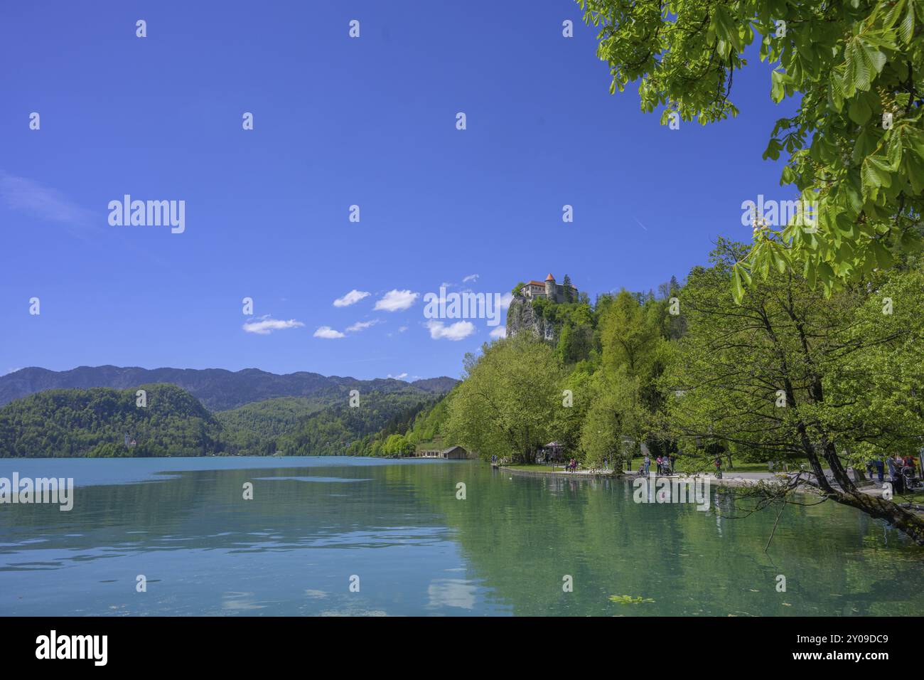 Castle of, Bled, Municipality of Bled, Slovenia, Europe Stock Photo - Alamy