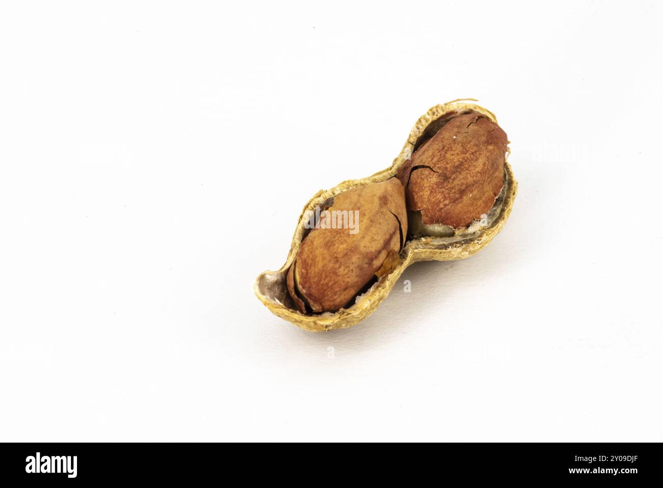 Netherlands. October 2022. Peanuts, isolated on white background Stock ...