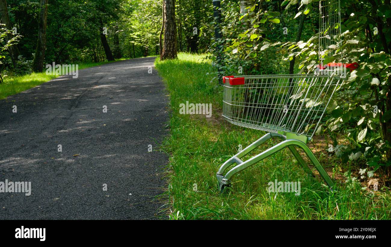 store business sale timber buy wood market shop cart trolley shopping ...