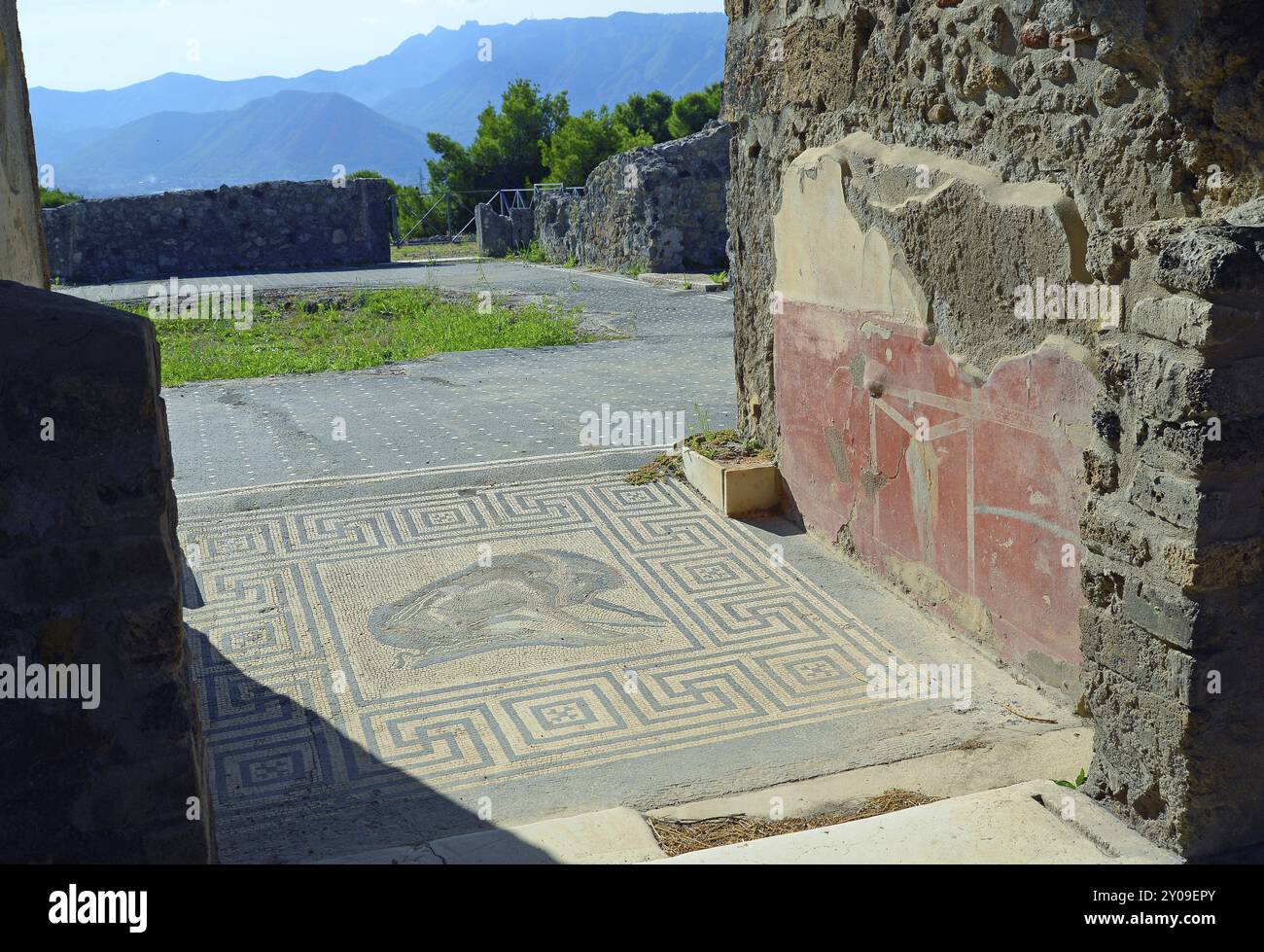 Pompeii, mosaic with the guard dog at the entrance to a villa Stock ...