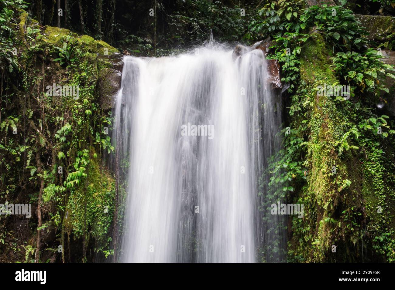 Waterfall in lush forest with flowing water and green foliage Stock ...