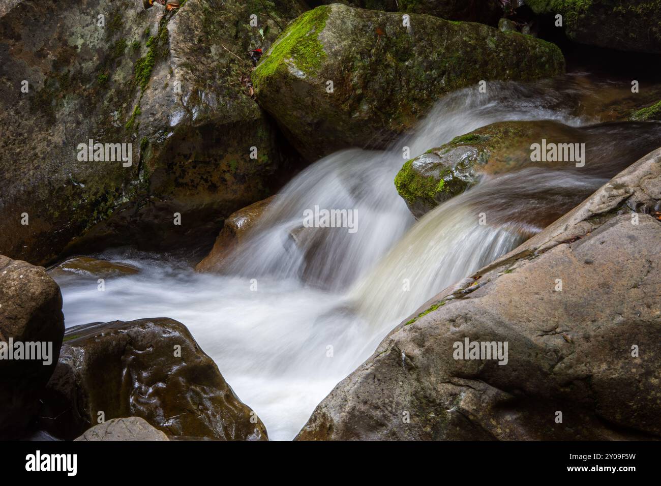 Close-up photo of a tranquil waterfall flowing over mossy rocks in a ...