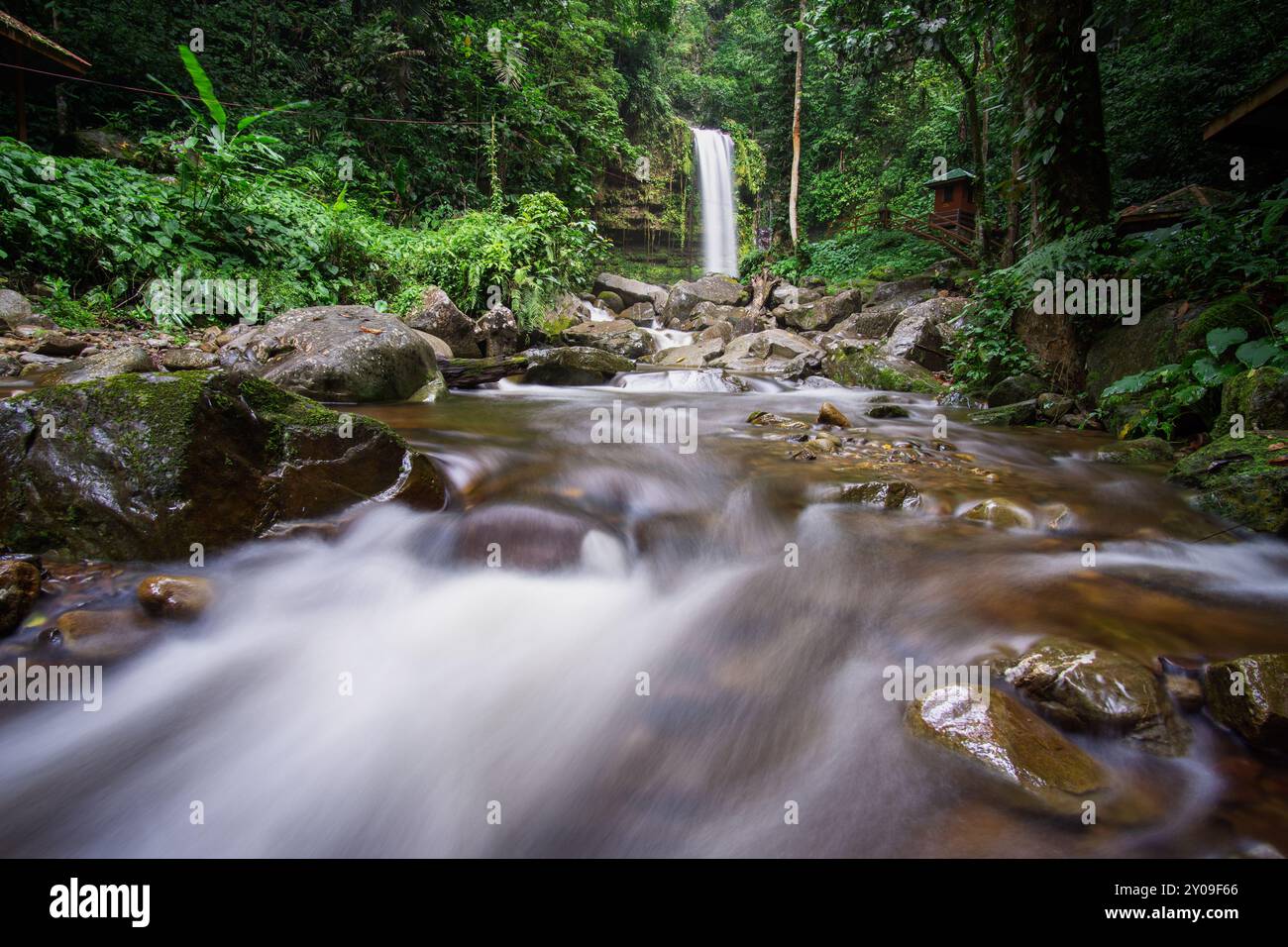 Serene Mahua Waterfall with smooth water flow and green surroundings ...