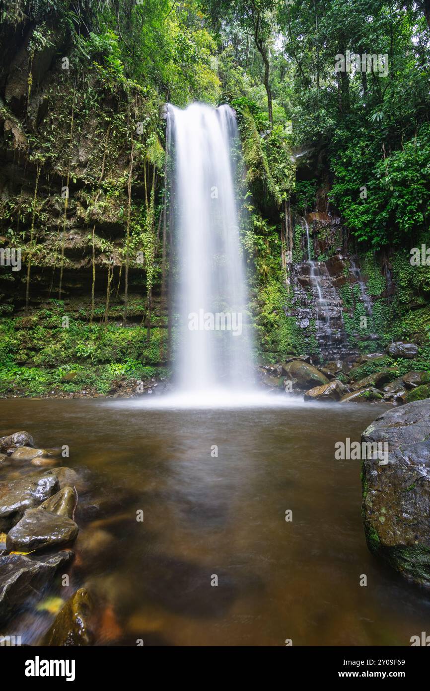 Serene Mahua Waterfall with smooth water flow and green surroundings ...