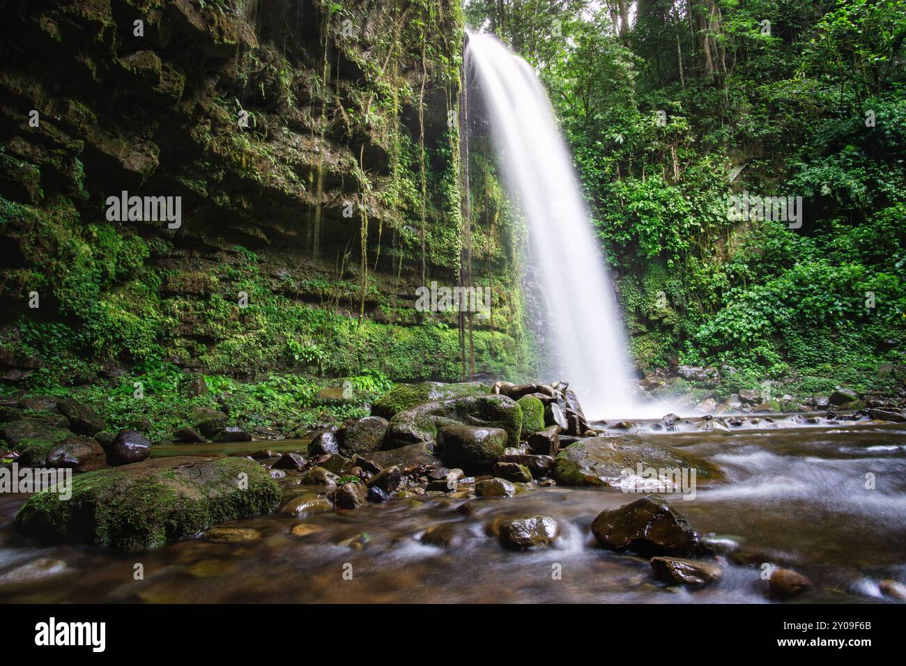 Serene Mahua Waterfall with smooth water flow and green surroundings ...