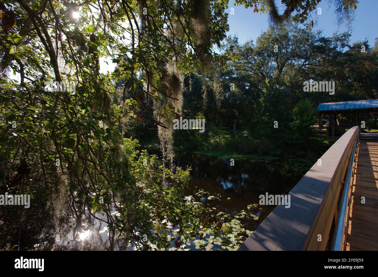Wide view leading lines down the side of hiking wood boardwalk nature ...
