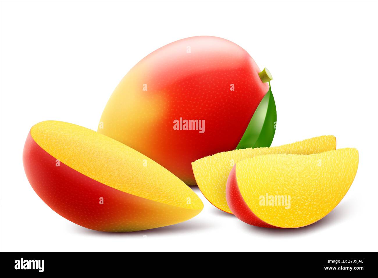 Fresh mango tropical fruit. Whole and slice exotic mango fruit isolated ...
