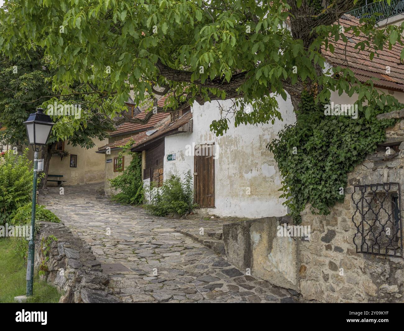 Charming cobbled alley green hi-res stock photography and images - Alamy