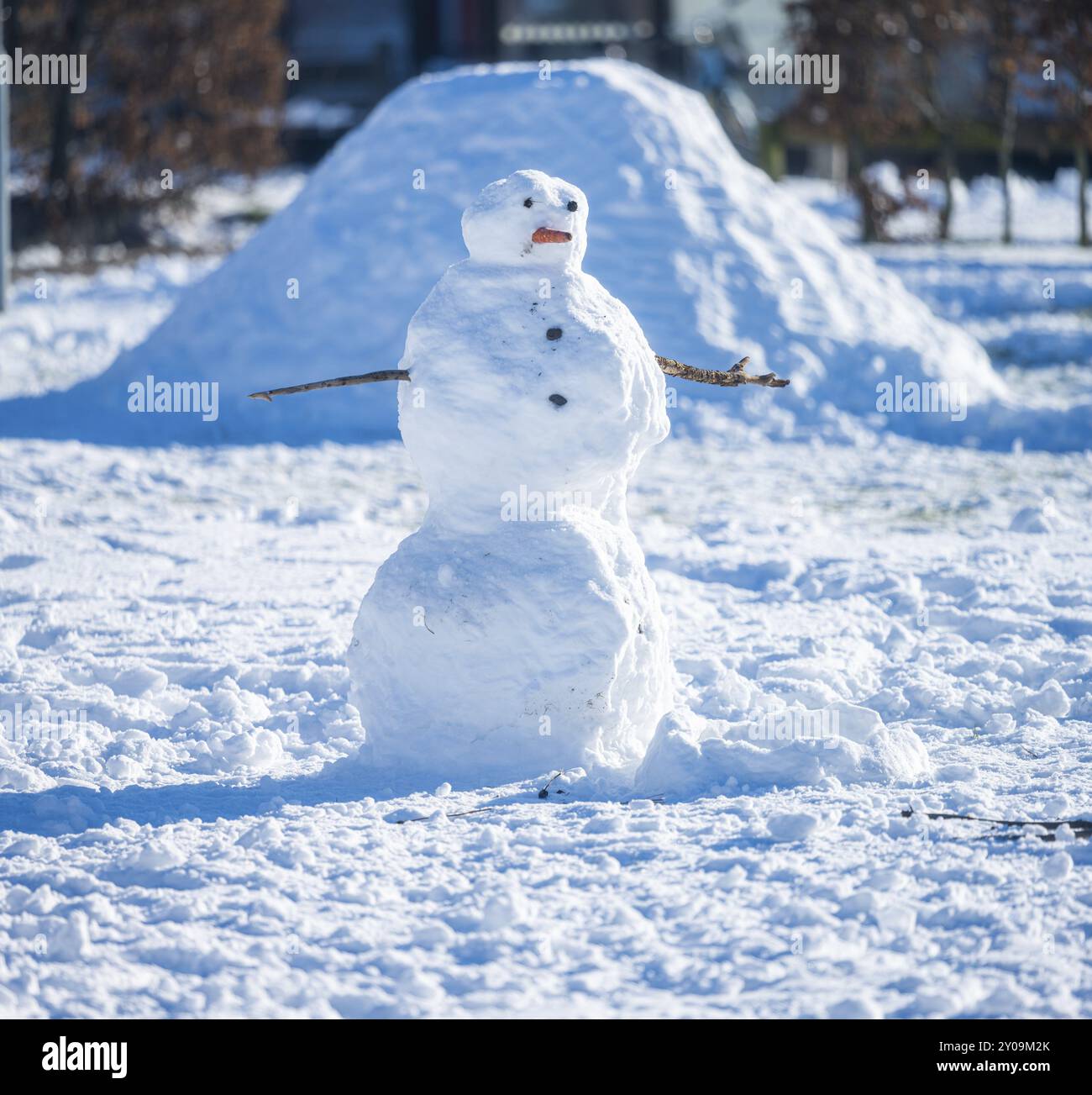 Snowman in field agricultural hi-res stock photography and images - Alamy