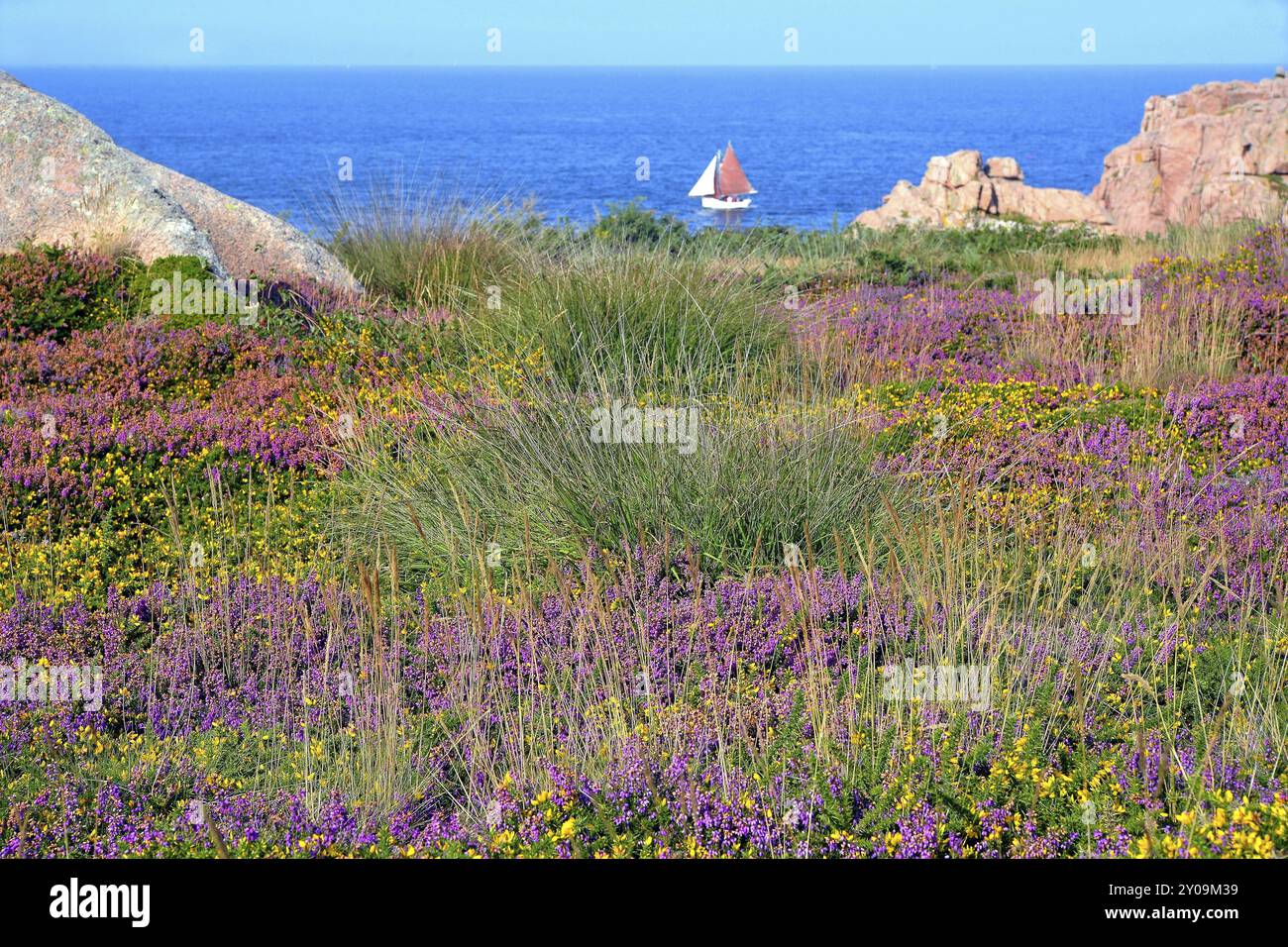 Heather towers hi-res stock photography and images - Alamy