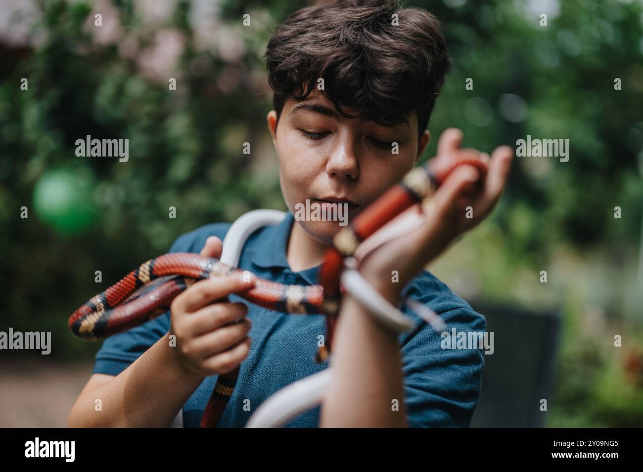Young girl interacting with colorful snakes in natural setting Stock ...