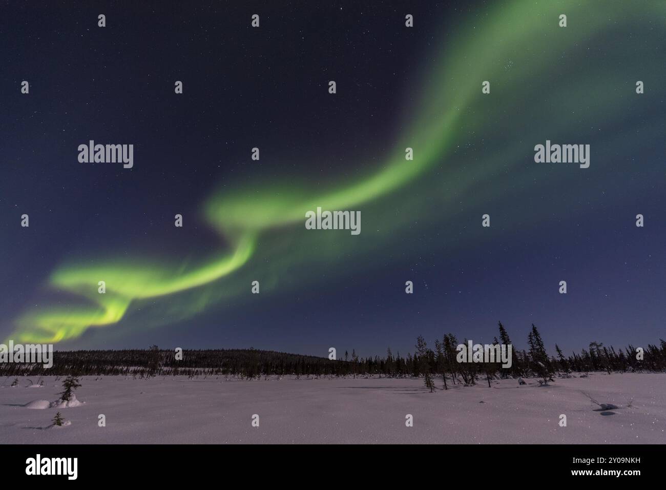 Northern Lights (Aurora borealis) over a moonlit winter landscape ...