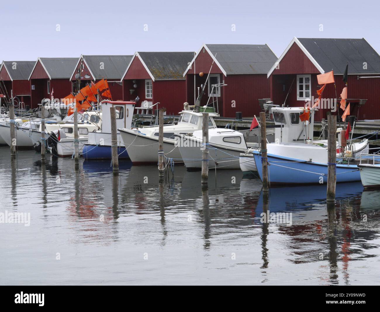 Small fishing boats in the Danish harbour of Rodvig Stock Photo - Alamy