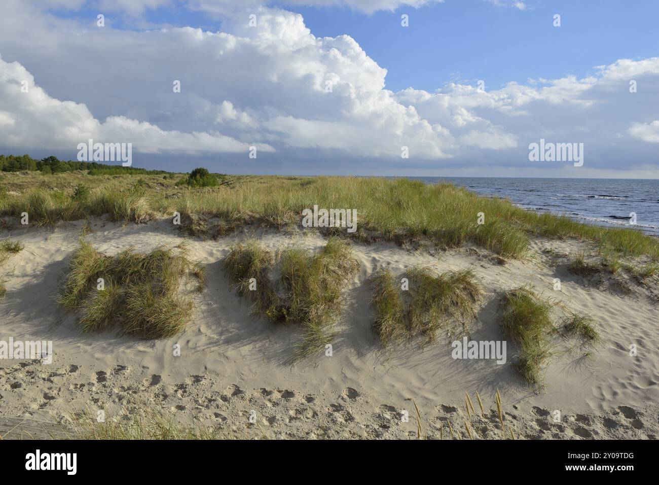 Sandhammaren is a Swedish coastal strip on the Baltic Sea. It is the ...