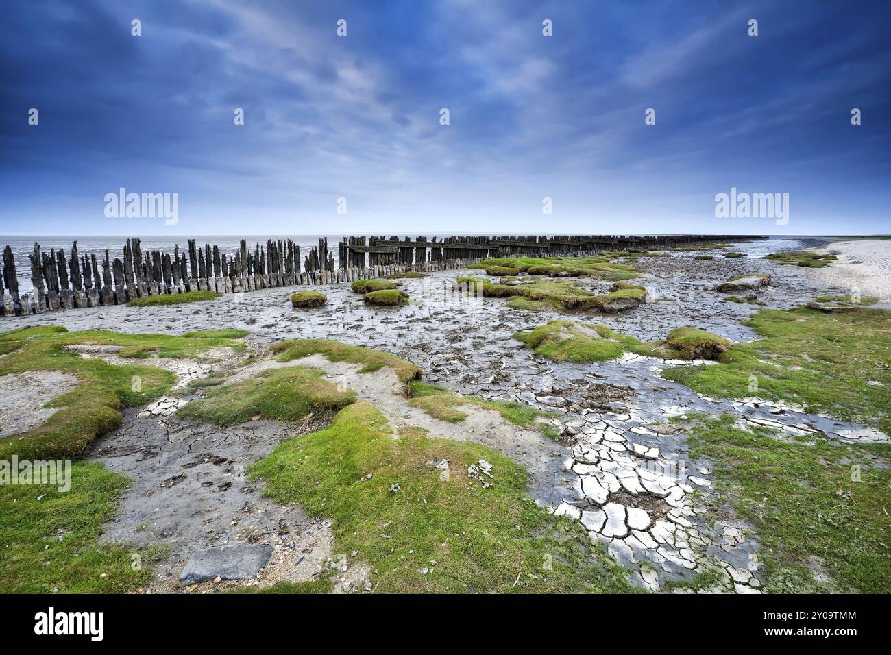 North sea bottom at low tide, Friesland, Moddergat Stock Photo - Alamy