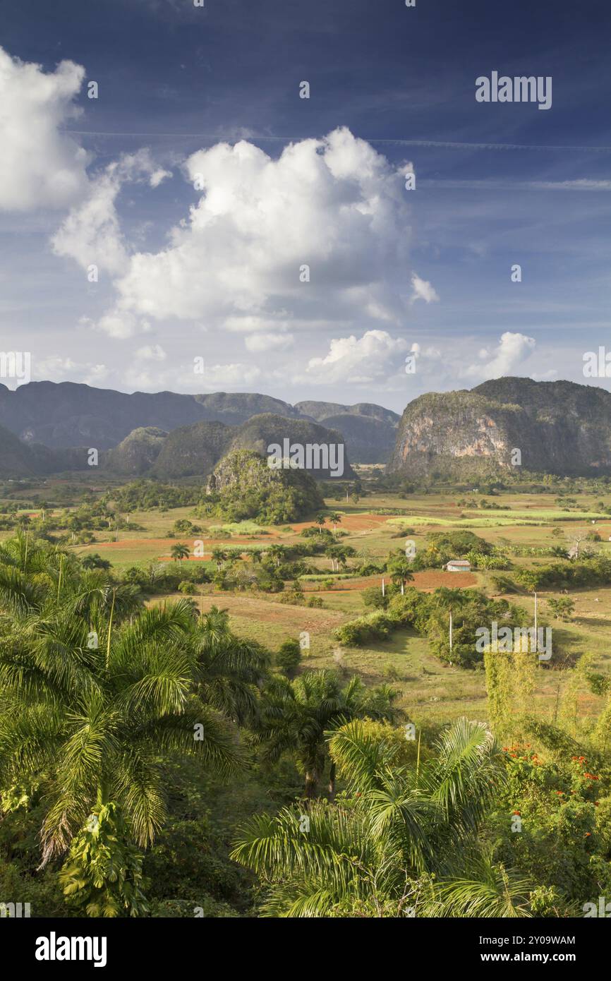 Cuban landscape near Vinales Stock Photo - Alamy
