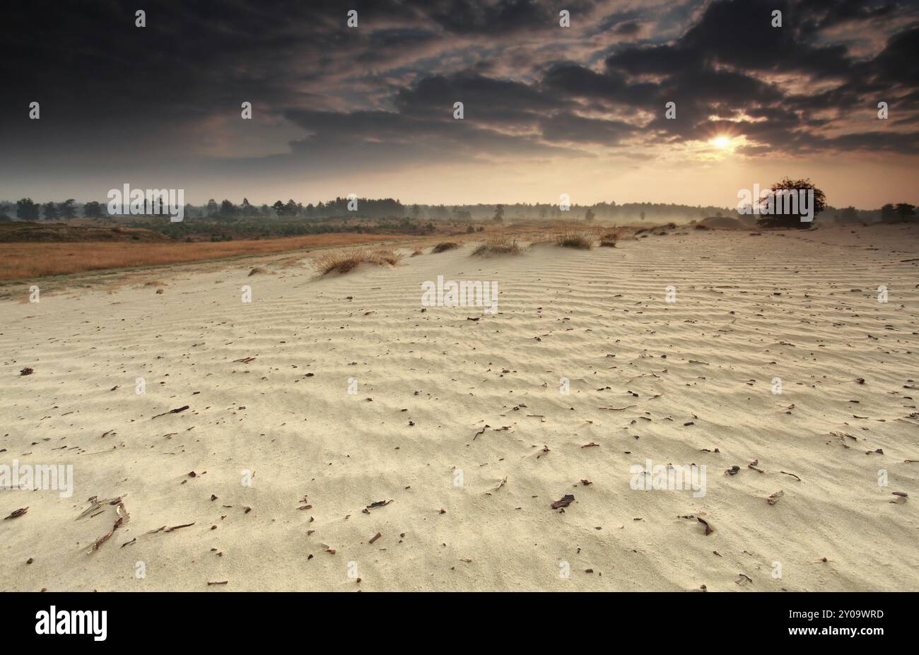 Sunrise beams over sand dune, Netherlands Stock Photo - Alamy