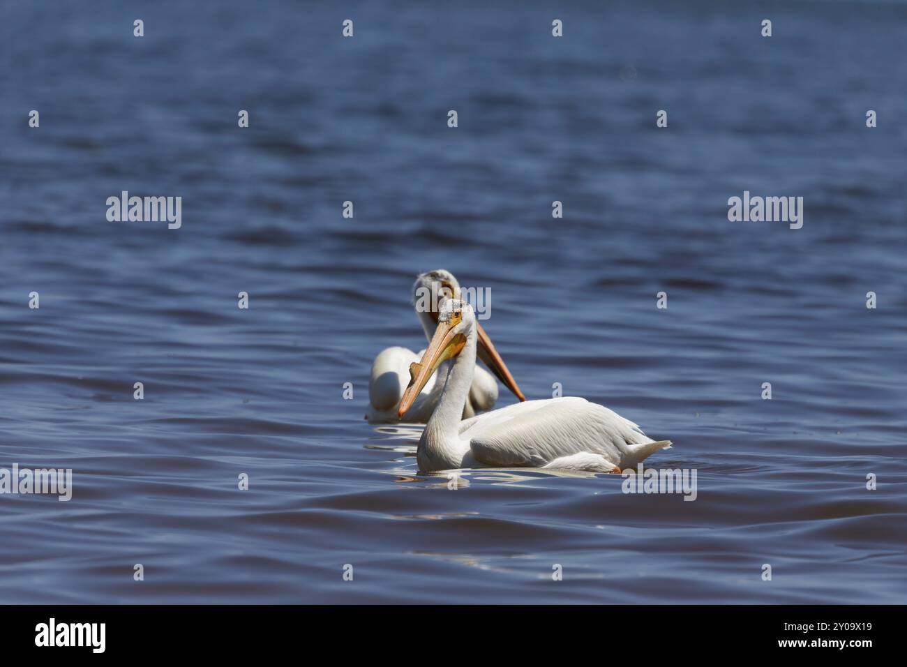 Nature scene from wisconsin Stock Photo - Alamy