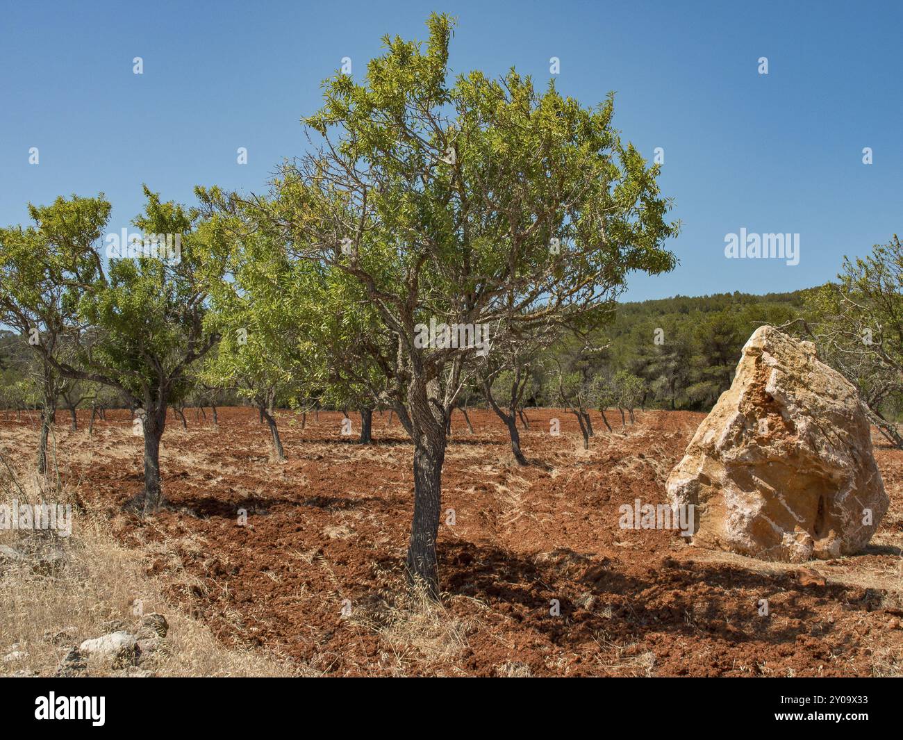 Single large rock soil hi-res stock photography and images - Alamy