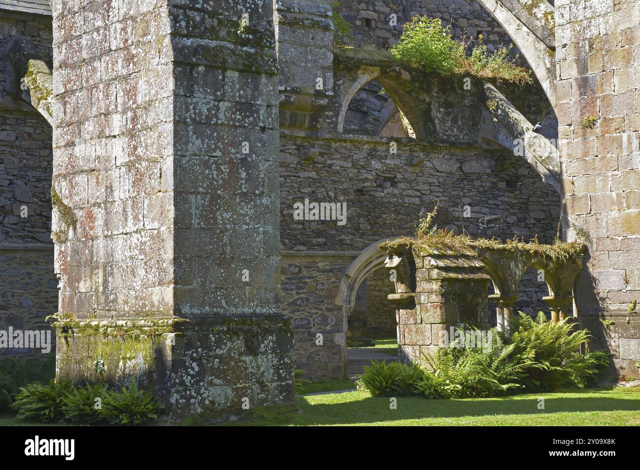 View hall columns ruins hi-res stock photography and images - Alamy